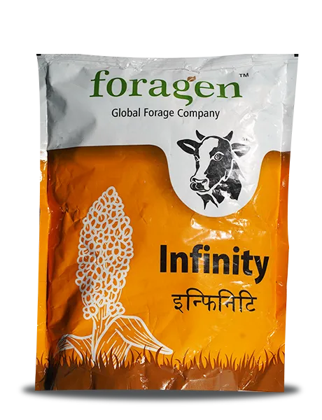 Foragen Infinity Buy Starting @ ₹ 870 – BigHaat.com